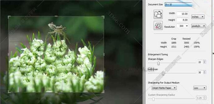 【亲测能用】Photoshop图片无损放大插件Alien Skin Blow Up V3.1.0.157下载-羽兔网