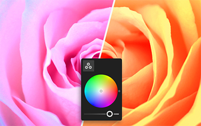 【亲测能用】Adobe Lightroom CC 2021 for mac v10 中文版下载-羽兔网