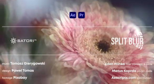 【亲测能用】AE/PR万花筒风格模糊插件：Aescripts Split Blur V1.0.2免费下载-羽兔网