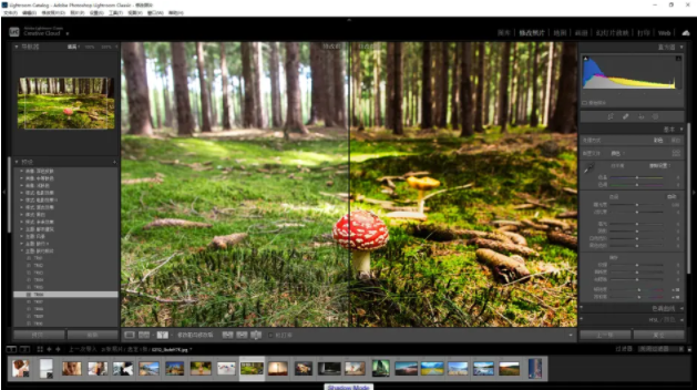 【亲测能用】Adobe Lightroom Classic 2022绿色版【LRC 11.0】免费版下载-羽兔网