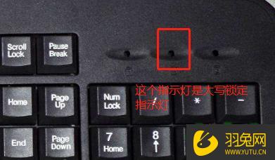 AE已禁用刷新请释放CaPS Lock的解决方法-羽兔网