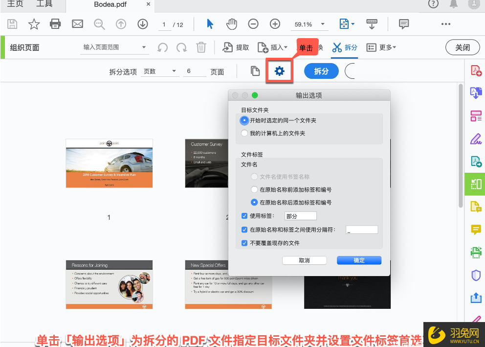 如何使用Acrobat拆分PDF？-羽兔网