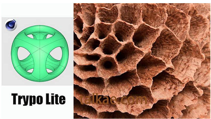 【亲测能用】Trypo Lite v1.1 for C4D R15-2023【多边形曲面细分圆孔镂空生成插件】免费版-羽兔网